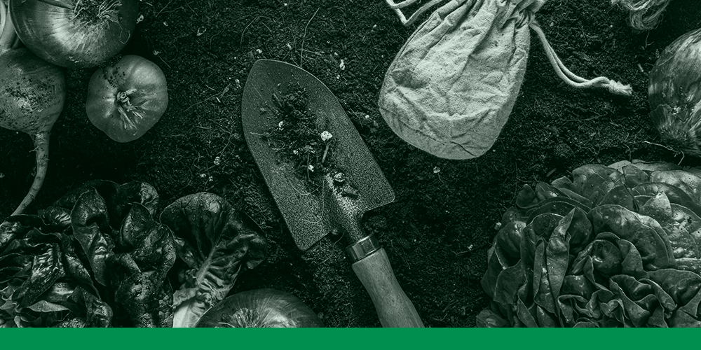 Home | CAMPUS VIRTUAL